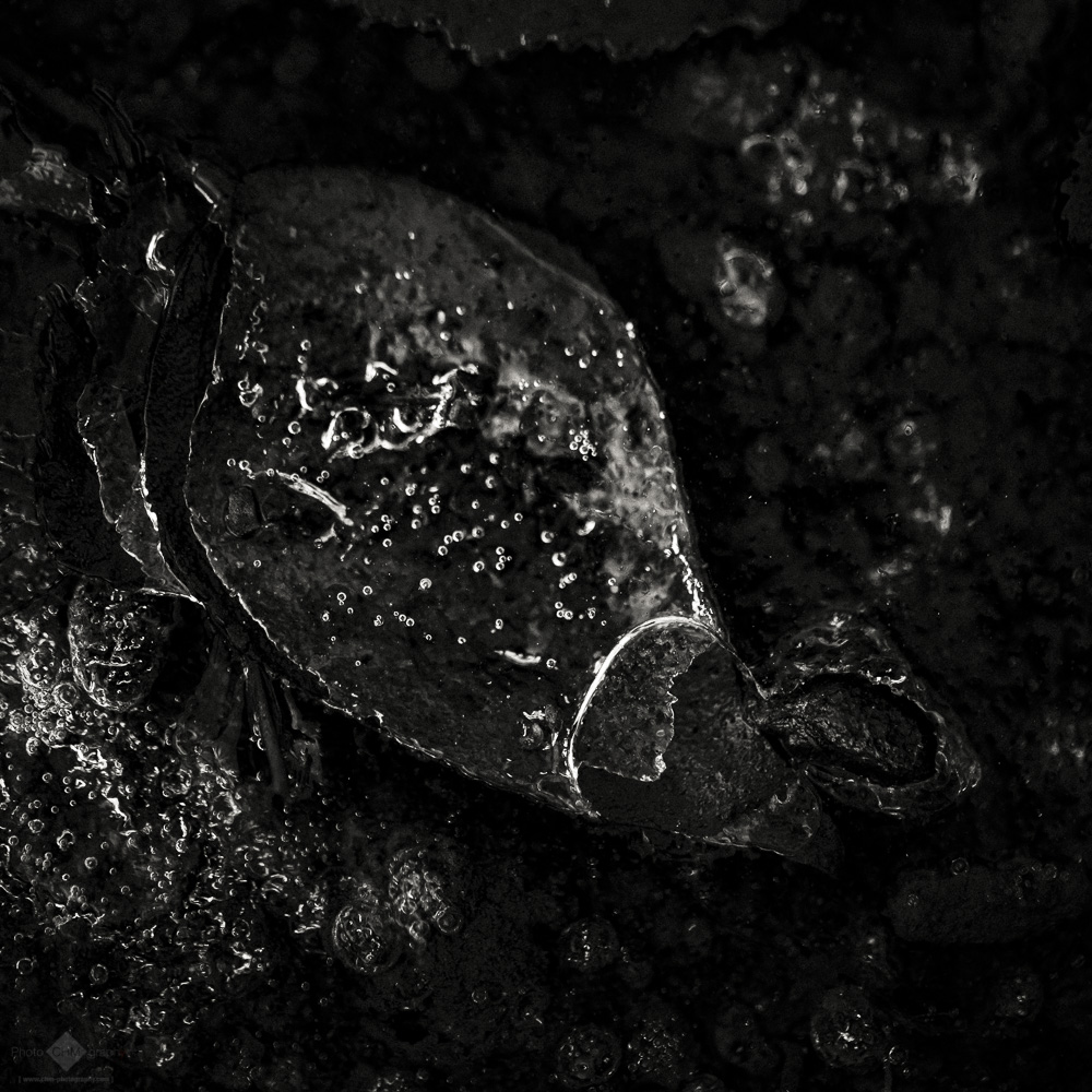 Ice Entities 2020 - Christian Meermann Photography